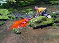 FLT ORANGE Tablets - Bright Dyes Tracer Dye for water or wastewater le ...